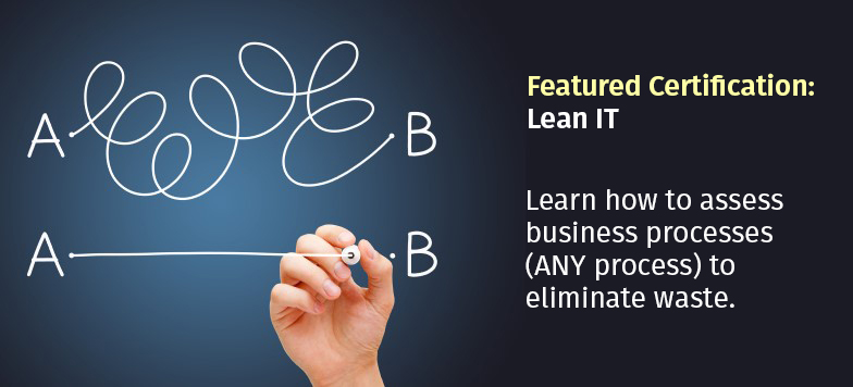 Pink Elephant: ITSM & Business Management Training and Consulting