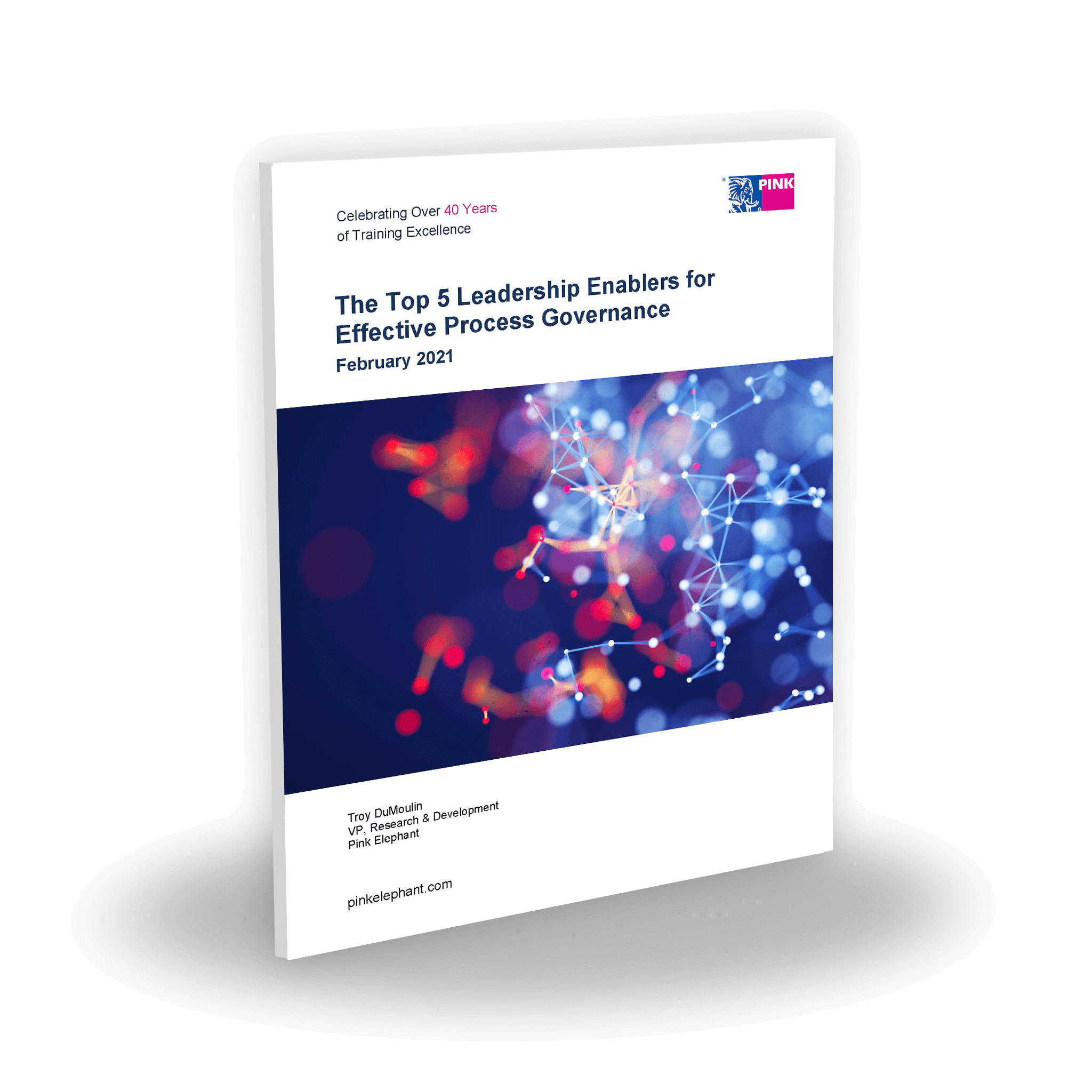 FREE Pink Paper – Top 5 Leadership Enablers for Effective Process ...